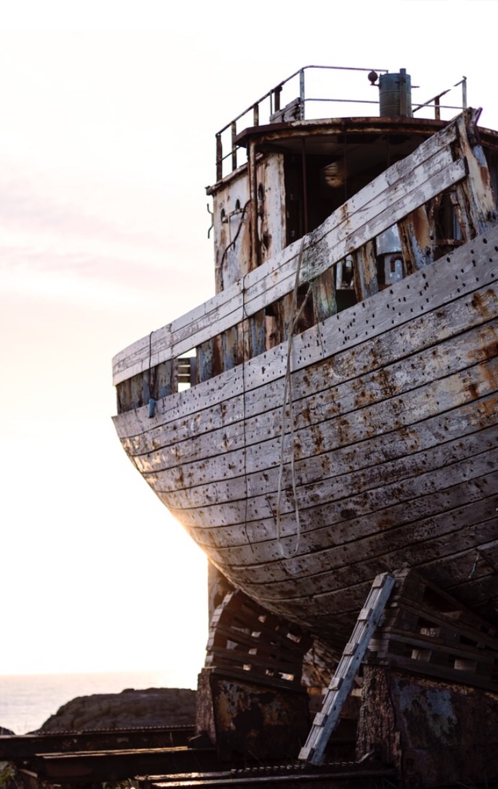 Before The Rot Sets In ~ A poem by Alun Robert – The Beach Hut