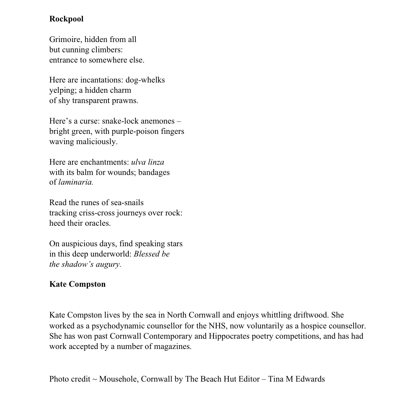 Rockpool ~ A poem by Kate Compston – The Beach Hut